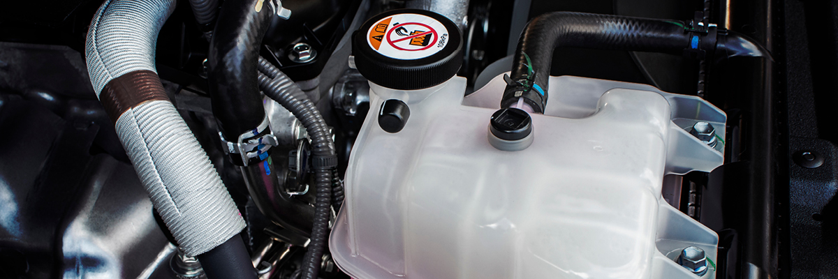 Keep The Heart Of The Cooling System Pumping Our Water Pump